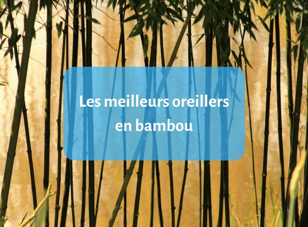 Quels sont les 6 meilleurs oreillers en fibres de bambou